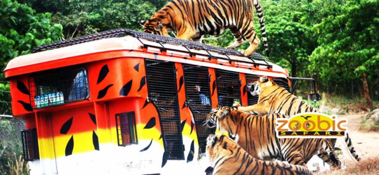 Subic Bay Freeport Zone, Philippines — travelesp.com